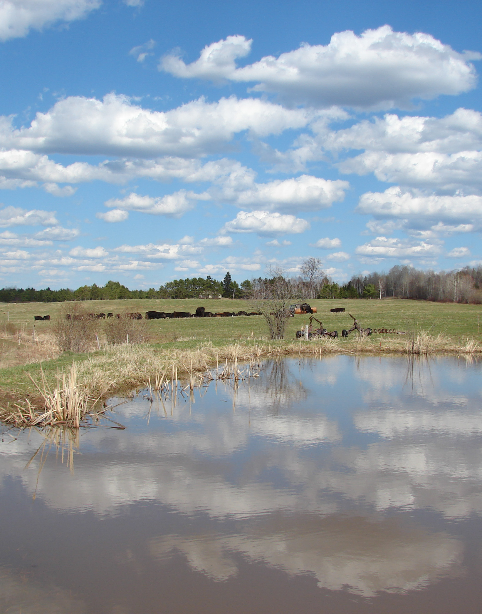 Farm Photos | yooper beef